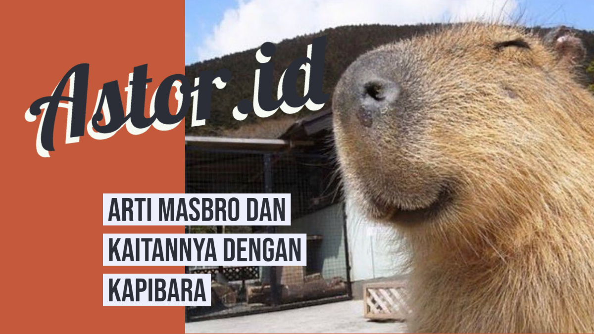 Arti Masbro & Kenapa Disandingkan dengan Hewan Kapibara