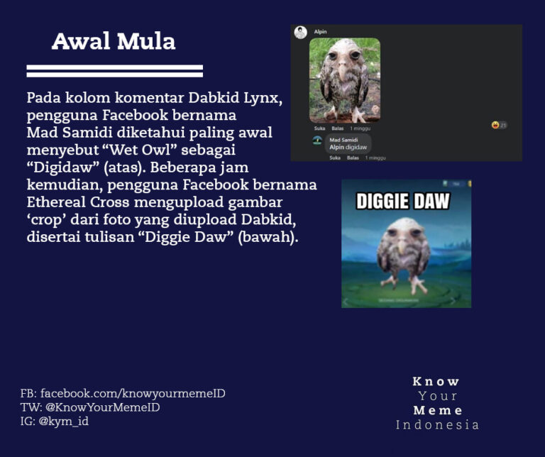 Arti Digidaw dan Kenapa Dikaitkan dengan Burung Hantu