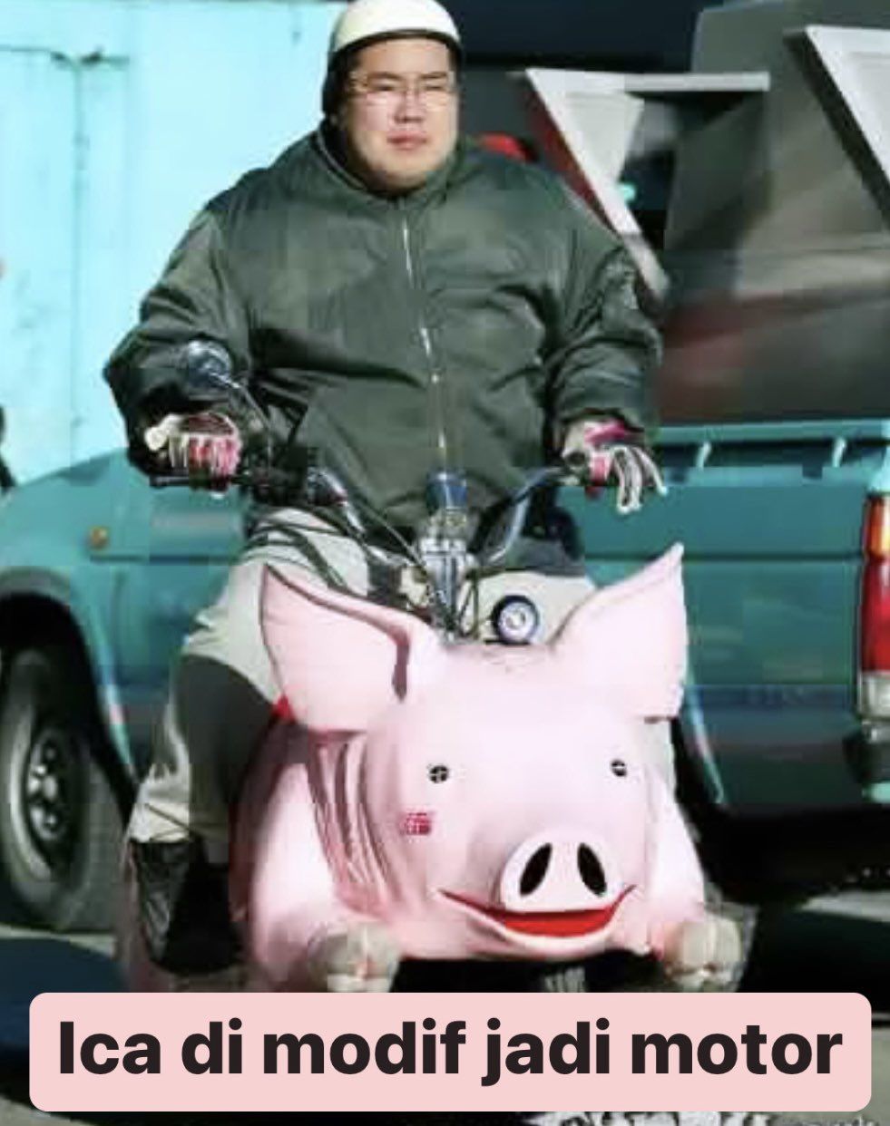 Kenapa Babi Disebut Ica? Ini Awal Mula & Konteksnya