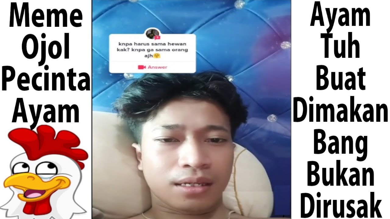 Meme & Link Video Gilang Pecinta Ayam Bebek Ojol yang Viral di Twitter