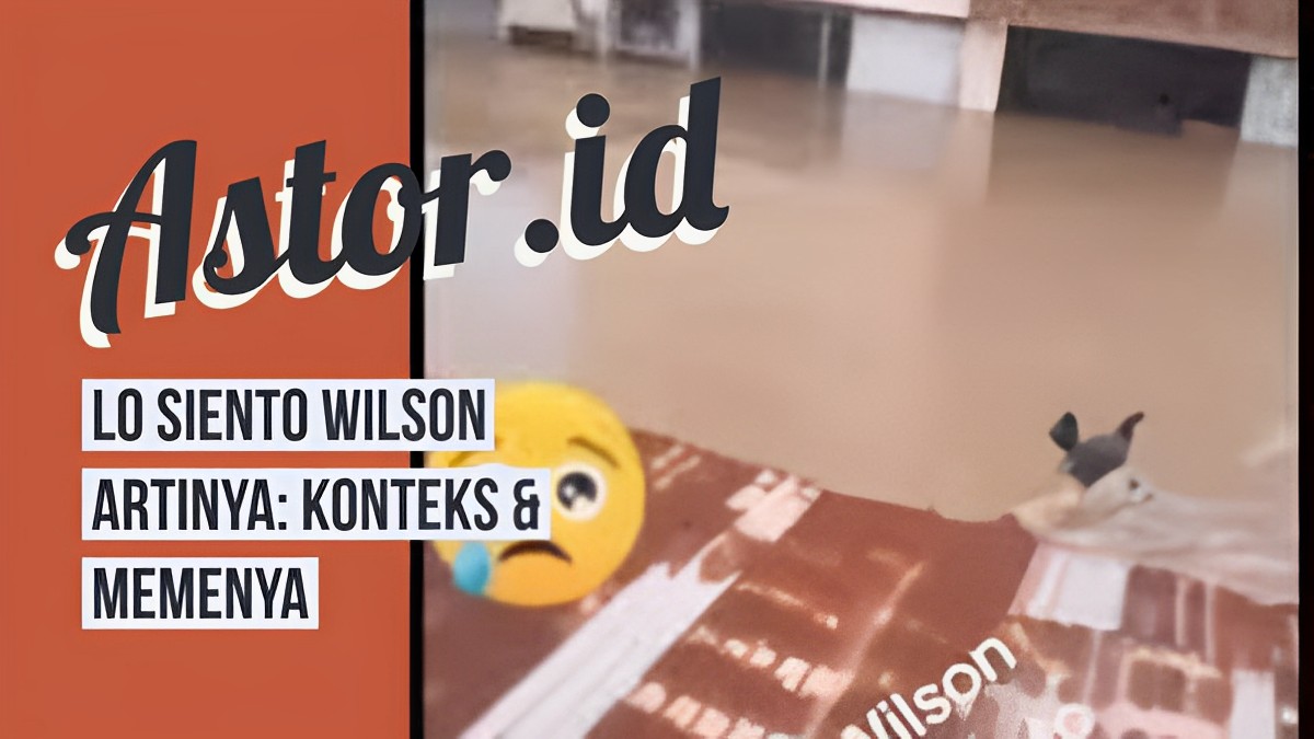 Lo Siento Wilson Artinya? Cek Maksud, Konteks & Memenya Lengkap