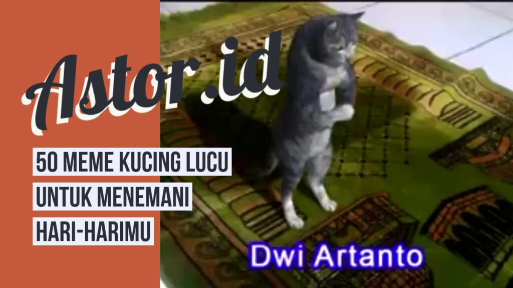 50 Meme Kucing Lucu Bikin Ngakak & Kocak untuk Ceriakan Hari-Harimu